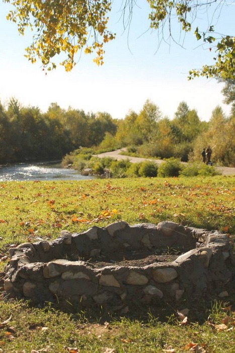 Loc de picnic in Tinca, pe malul Crisului Negru (FOTO)